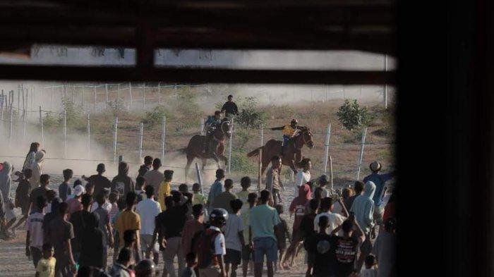 Lomba Pacuan Kuda Piala Bupati Sumba Timur Cup 2023 Libatkan 549 Ekor ...