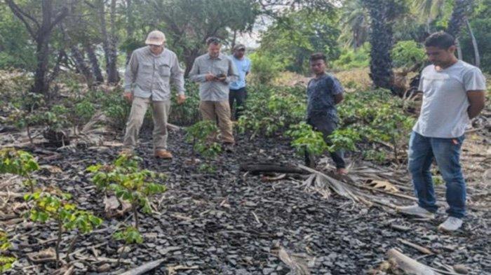 Dasar Sungai di Timor Leste Mengeluarkan Batu Mangan untuk Estrella ...