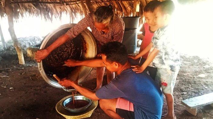 Kisah Ina Rihi dari Sabu Raijua, Mengolah Tuak jadi Gula Lempeng dan ...