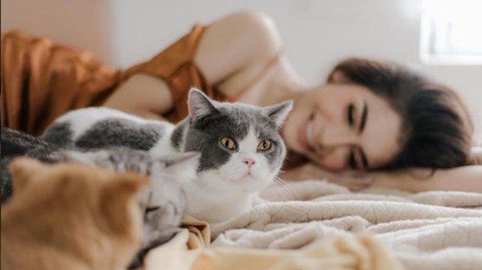 Sosok Meysa Thalib, Selebgram Yang Disebut Jadi Istri Kapolres Muara ...