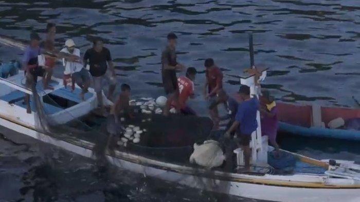 Sekelompok Nelayan Tangkap Penyu di Perairan Pulau Solor Flores Timur - Pos-kupang.com