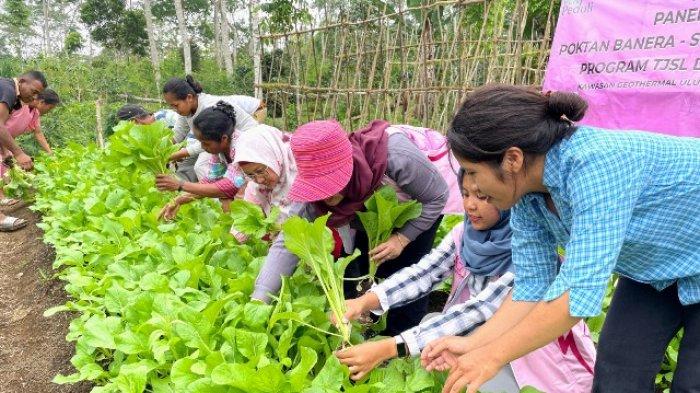 Srikandi PLN Balinus Raih Pos Kupang Award Lewat Program Pemberdayaan ...