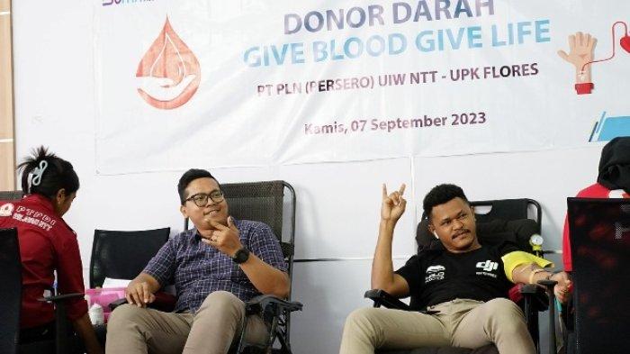 Jelang Hari Palang Merah Indonesia, PMI Sikka dan PLN UPK Flores Gelar Aksi Donor Darah di ...