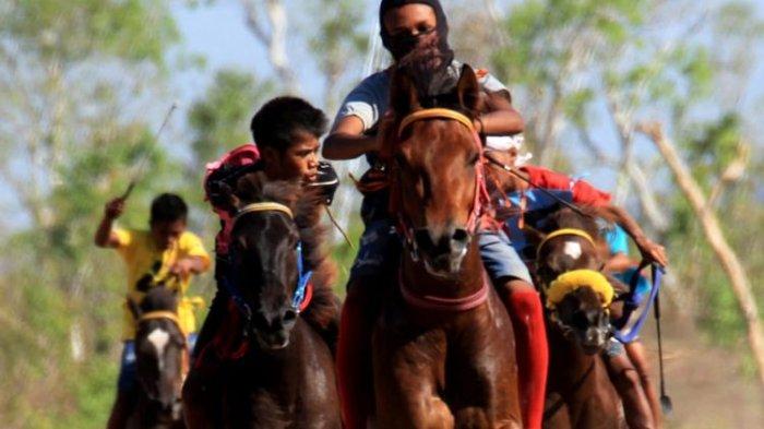 Wisata NTT, Menyaksikan Sensasi Meriahnya Lomba Pacuan Kuda Tradisional ...