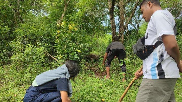 Pelajar SMAK Syuradikara Tanam 400 Pohon Mahoni di Detusoko Ende - Pos-kupang.com