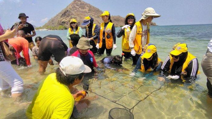 Lions Internasional D-307 B2 Transplantasi 1000 Terumbu Karang di Laut Labuan Bajo - Pos-kupang.com
