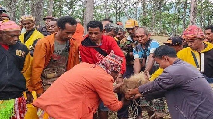 Kelompok Tani Didenda Imbas Tebang Pohon di Cagar Alam Gunung Mutis ...