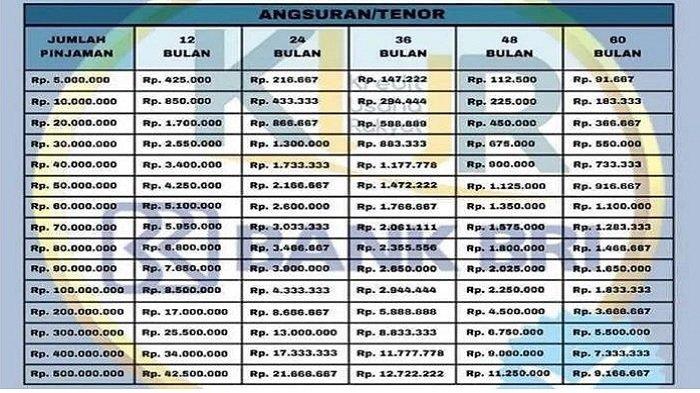 Tenor 60 Bulan untuk Pinjaman Rp 100 Juta KUR BRI 2025, Berapa Cicilannya? Cek Tabel Angsuran ...
