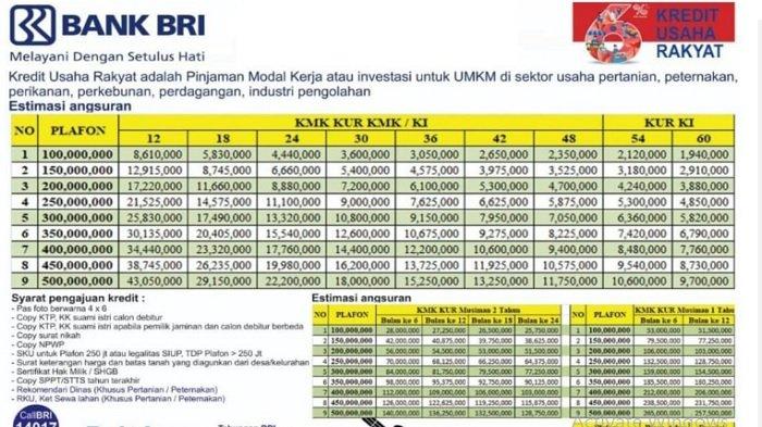 Pinjam KUR BRI Rp 500 Juta untuk Investasi dengan Masa Angsuran 5 Tahun ...