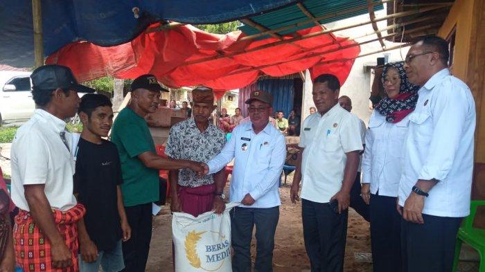 Wabup Manggarai Fabi Abu Tinjau Padi Sawah Gagal Panen di Pong Kukung ...