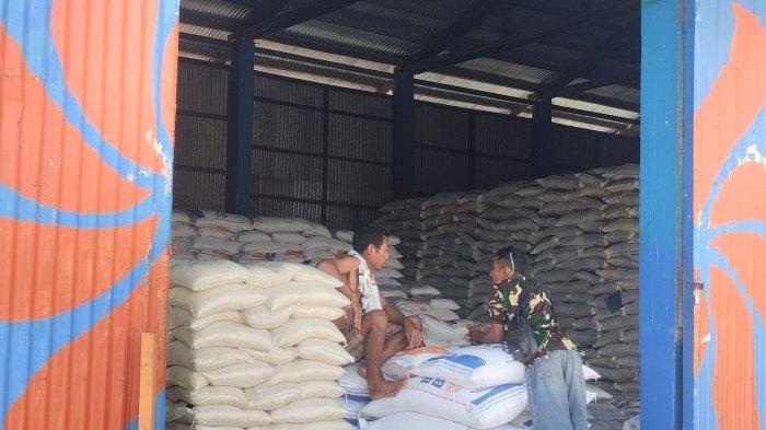 Bulog Rote Ndao Salurkan 282,29 Ton Beras Bantuan Pangan Pemerintah kepada Masyarakat - Pos ...