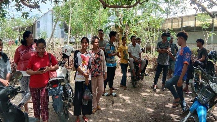 Tuntut Kenaikan Gaji Sesuai UMK, Puluhan Karyawan PT Talasi Sumba Barat ...