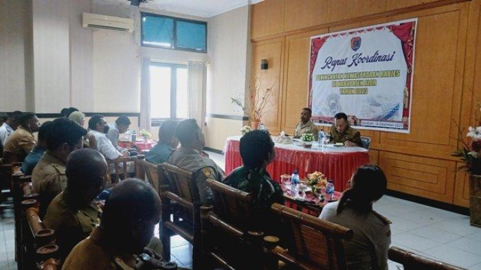 Waspada Rabies, Pemda Alor Adakan Rapat Koordinasi Lintas Instansi ...