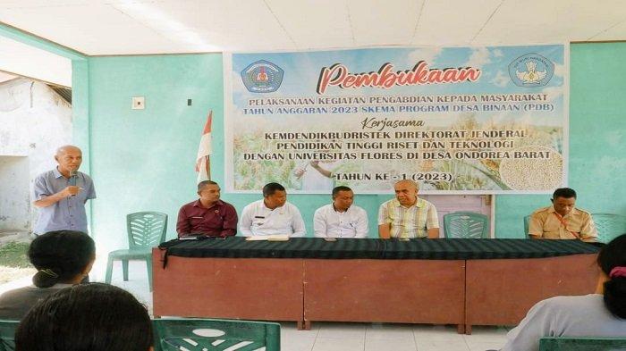 Rektor Universitas Flores Buka Kegiatan PKM Skema Program Desa Binaan di Desa Ondorea Barat ...