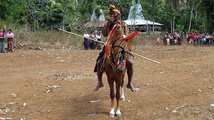 Wisata NTT, Upacara Purung Ta Kadonga Ratu di Sumba Tengah, Kepercayaan ...