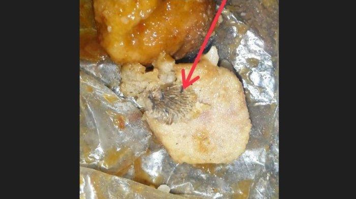 BREAKING NEWS - Warga Takari Kupang Temukan Salome Berisi Daging Tikus ...