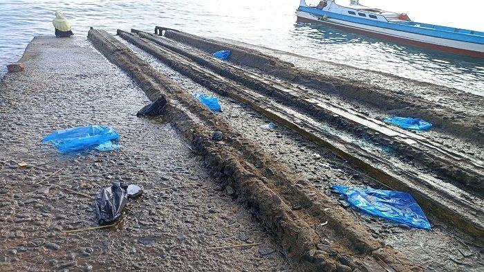 Kantong Plastik Pembungkus Ikan Berserakan di PPI Maumere, Daniel Boni ...