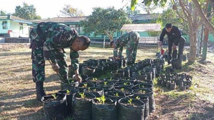 Manfaatkan Lahan Kosong, Anggota Kodim 1621/TTS Tanam Sayur - Pos ...