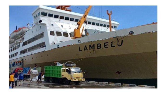 Jadwal Kapal Pelni Lambelu Juni 2023, Silahkan Cek Syarat dan Harga Tiketnya - Pos-kupang.com