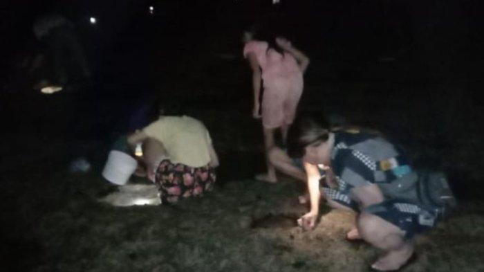 Wisata NTT, Mengenal Tradisi Tahunan Sikka NTT , Ule Nale yang Tak ...