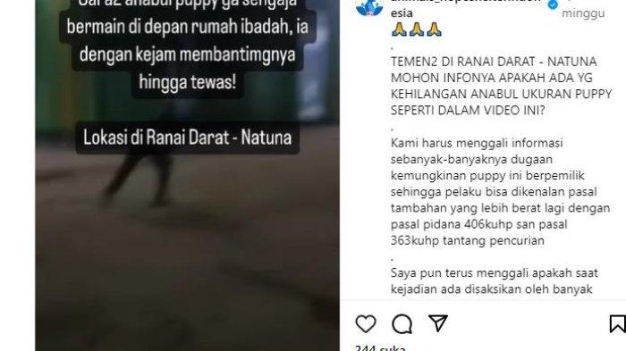 Video Viral TikTok, Dinlai Sadis Perilaku Bukan Manusia, Empat Remaja ...