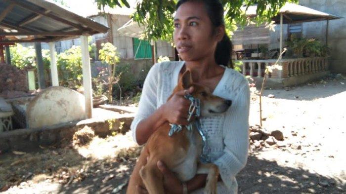 Lihat Info dan Kenali Tanda-tanda Hewan Terjangkit Rabies dan Begini ...