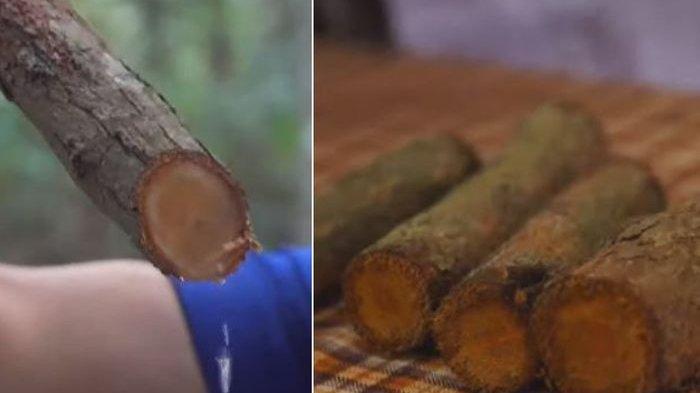 Kayu Bajakah Kalimantan dan Ciu Disebut Ampuh Jadi Bahan Hand Sanitizer ...