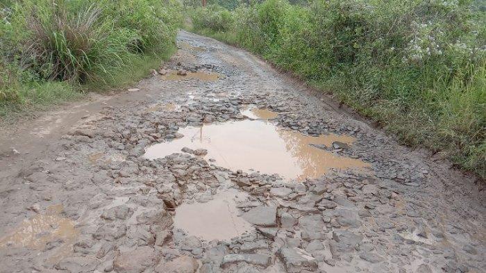 Perbaiki Jalan Rusak Dangka Bangka-Colol-Watunggong, Pemda Matim Pinjam ...
