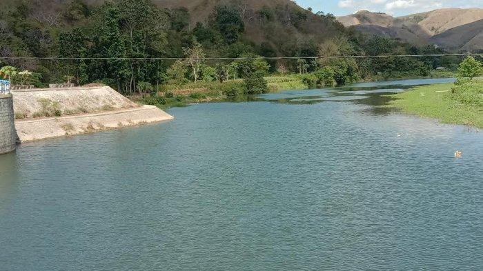 Bendung Kambaniru Berkah Bagi Petani Mauliru Sumba Timur - Pos-kupang.com