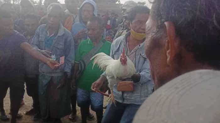 Biarkan Warga Berkerumun, Tokoh Masyarakat Minta Bupati Belu Tegur ...