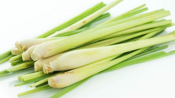 Tak Hanya Penyedap Masakan, Ini 10 Manfaat Daun Serai bagi Kesehatan ...