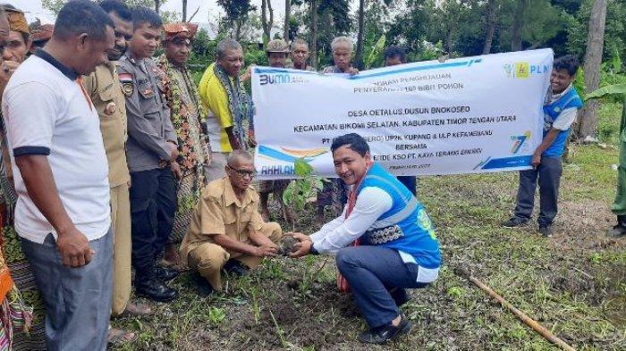 Dukung Desa Hijau, PLN Tanam 230 Pohon - Pos-kupang.com