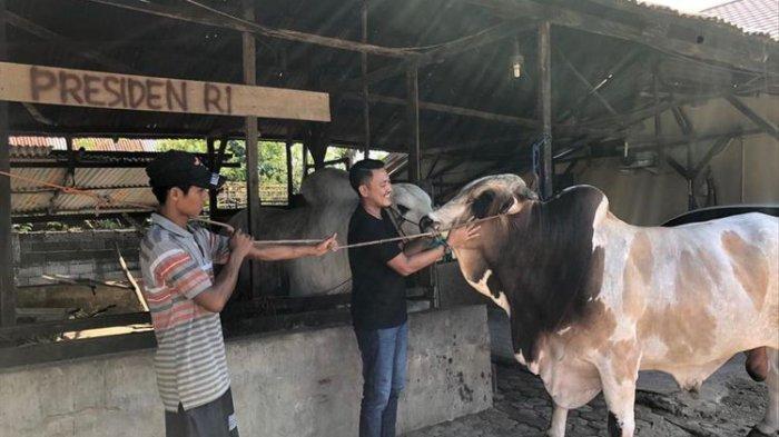 Sejarah Idul Adha, Berawal dari Kisah Pengorbanan Nabi Ibrahim dan Sang ...
