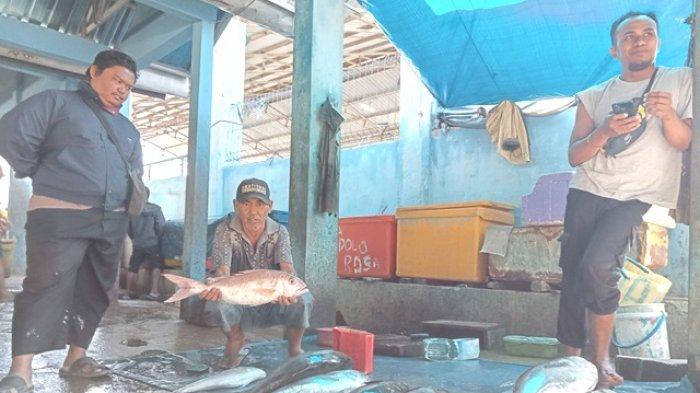 Harga Ikan Masih Tinggi, Nelayan Keluhkan Sepi Pembeli di TPI Oeba Kota ...