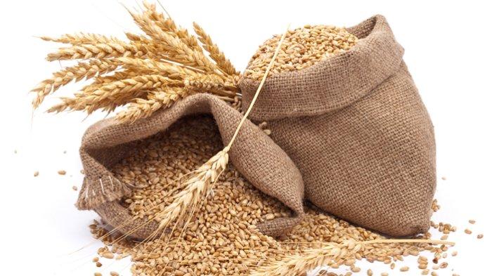 Indonesia Masih Dibanjiri Pangan Impor, Beras Paling Banyak dari ...