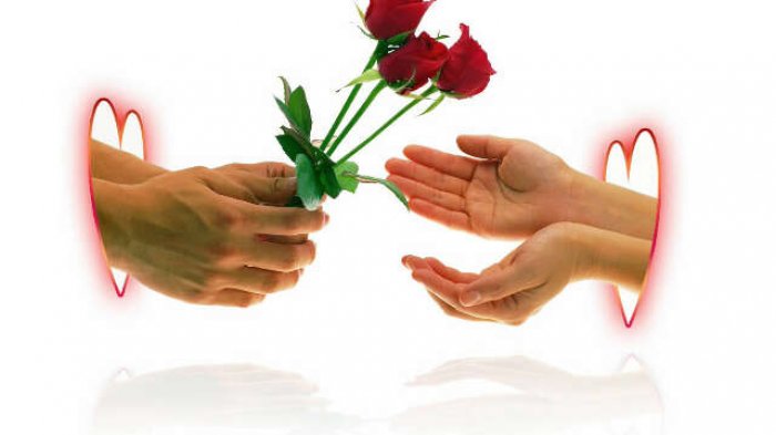 Mau Memberikan Bunga Mawar kepada Pasangan, Pilihan Warna Menjadi ...
