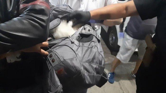 Polisi Tangkap Alex Bonpis, Bandar Narkoba Kampung Bahari DPO Polda ... Polisi Tangkap Alex Bonpis, Bandar Narkoba Kampung Bahari DPO Polda ...