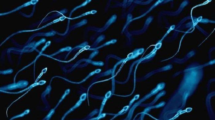 Rutin Keluarkan Sperma Itu Sehat Loh! Berapa kali seminggu? - Pos ...