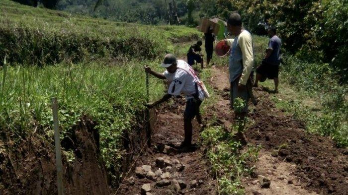 Irigasi P3A Malawae Mulai Dikerjakan Kelompok Tani, Ini Sumber Dananya ...