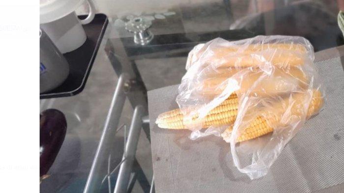 Kuliner Khas Kupang, Jagung Rebus vs Teh Alia Hangat Pake Gula Lempeng ...