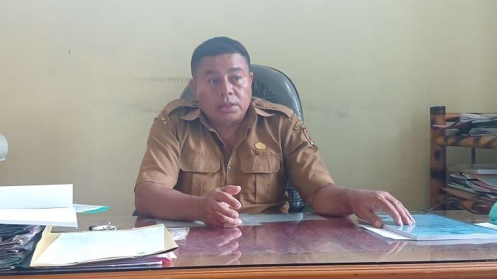 73 Ternak Babi di Teluk Mutiara Mati, Pemda Alor Imbau Warga Waspada ...