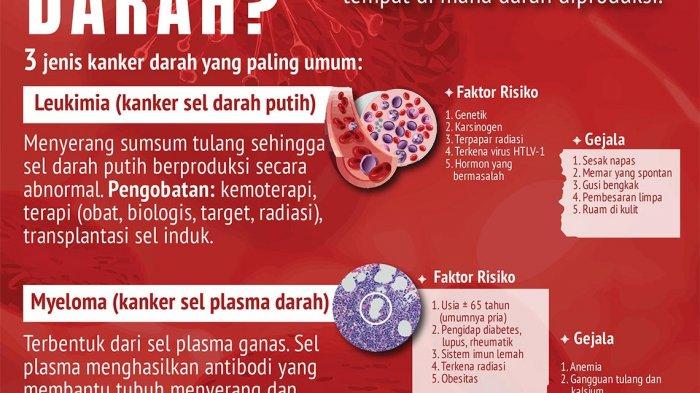 Anda Ingin Tahu tentang Penyebab Kanker Darah? Ayo Simak Penjelasan ...