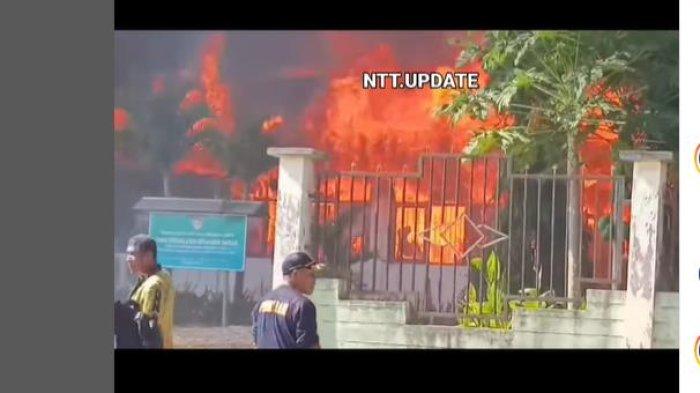 Berita Viral Kebakaran UPT Perbenihan Tanaman Pangan dan Hortikultura Distan Provinsi NTT - Pos ...
