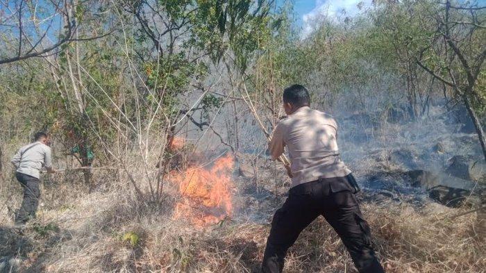 BMKG: Waspada Kebakaran Hutan dan Lahan di Wilayah NTT Hari Ini - Pos ...