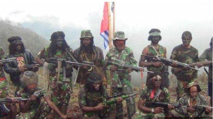 Sepak Terjang OPM yang Sudah ada Sejak Zaman Belanda: Masuk Hutan untuk ...