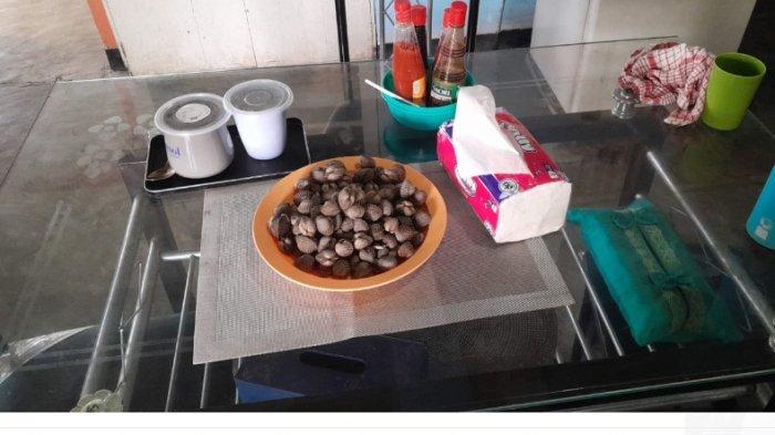 Kuliner Khas Kupang, Kerang Laut Teluk Kupang Isap Naek Sampe Ubun Ubun ...