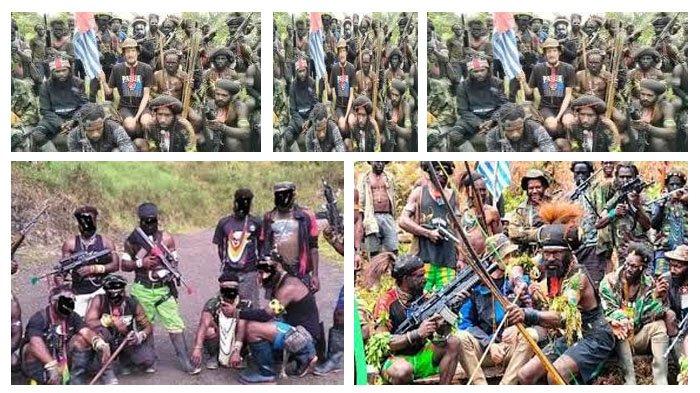 Pilot Susi Air Bakal Ditembak Kalau Indonesia Abaikan Tuntutan KKB Papua, Begini Kata Egianus ...