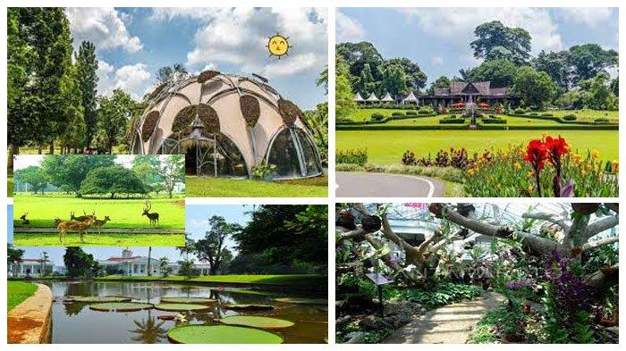 Ini Tarif Masuk Kebun Raya Bogor, Zaenal Arifin: Harga Tiketnya Sesuai ...