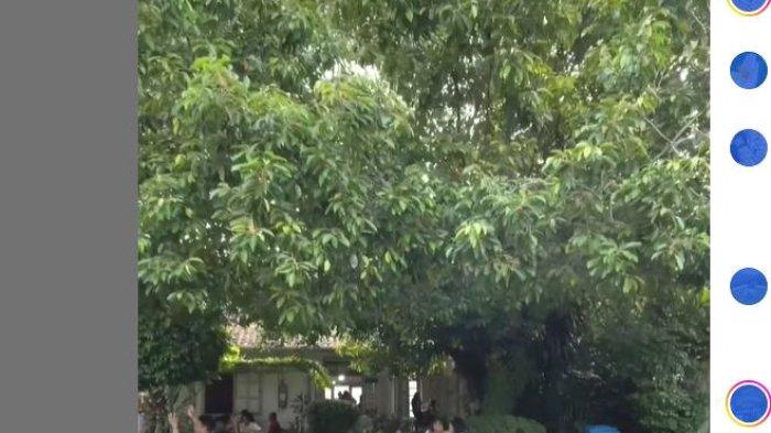 Berita Viral Menikmati Kopi Tertua di Kota Semarang Jalan Wotgandul di Bawah Pohon Rindang - Pos ...