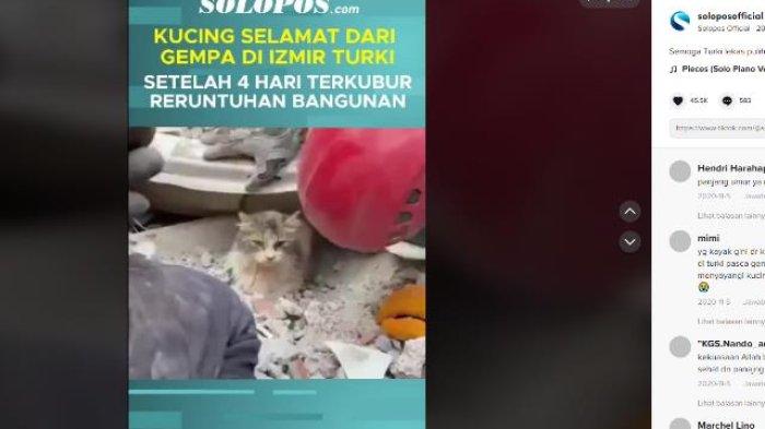 Video Viral TikTok Kucing Ini Terkubur Empat Hari Pasca gempa Dasyat ...